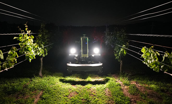 ATV/ROV - Central Bike Centre